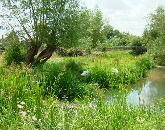 Witney Town Council – Official Site of Witney Town Council