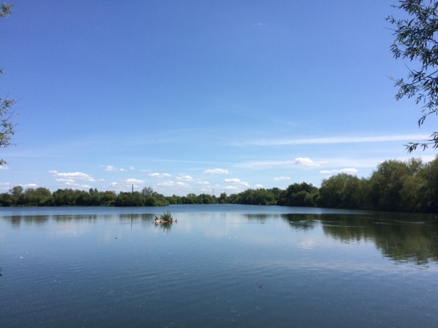 Witney In Bloom Awards 2024 Results – Witney Town Council