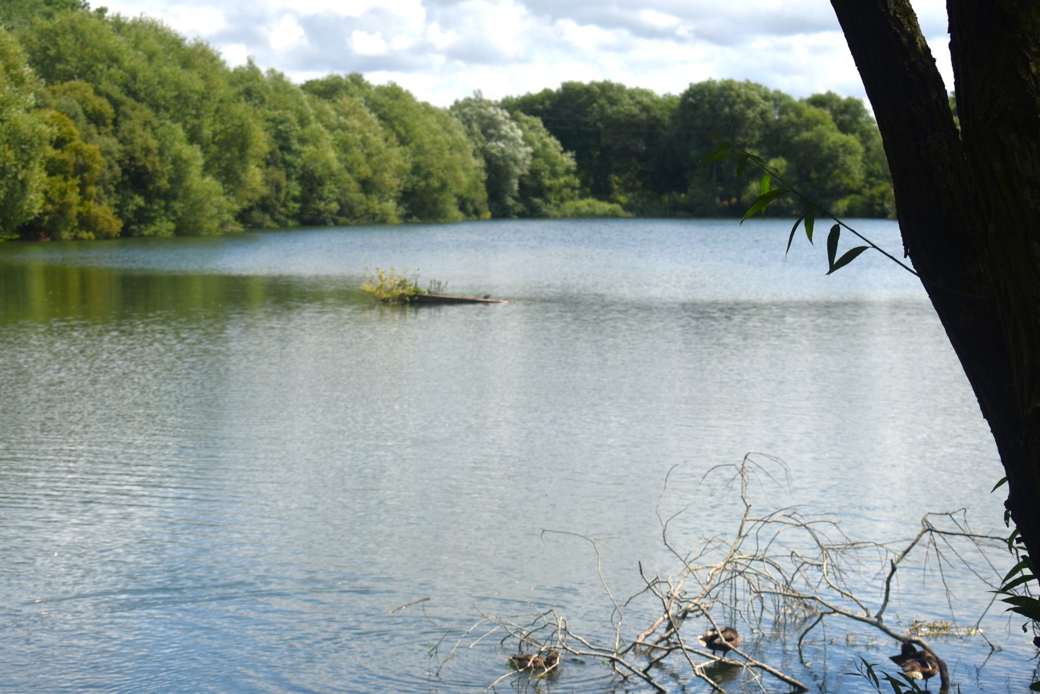 Witney Lake and Country Park Receives Local Nature Reserve Status ...